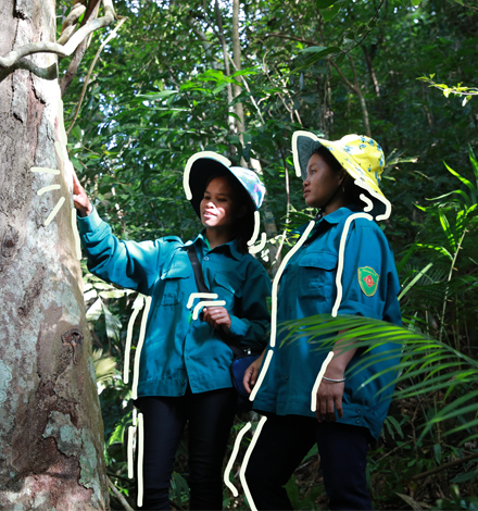 ‘FSC Aligned for EUDR’ cleared for launch by International Board | fsc.org